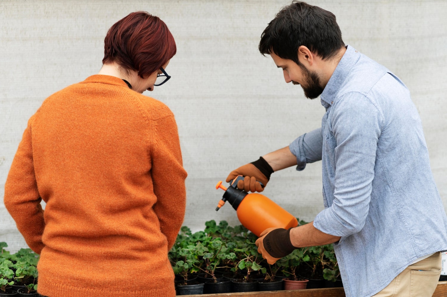 FDA Announces New Program to Curb Domestic Plant Issues - Life Sciences ...